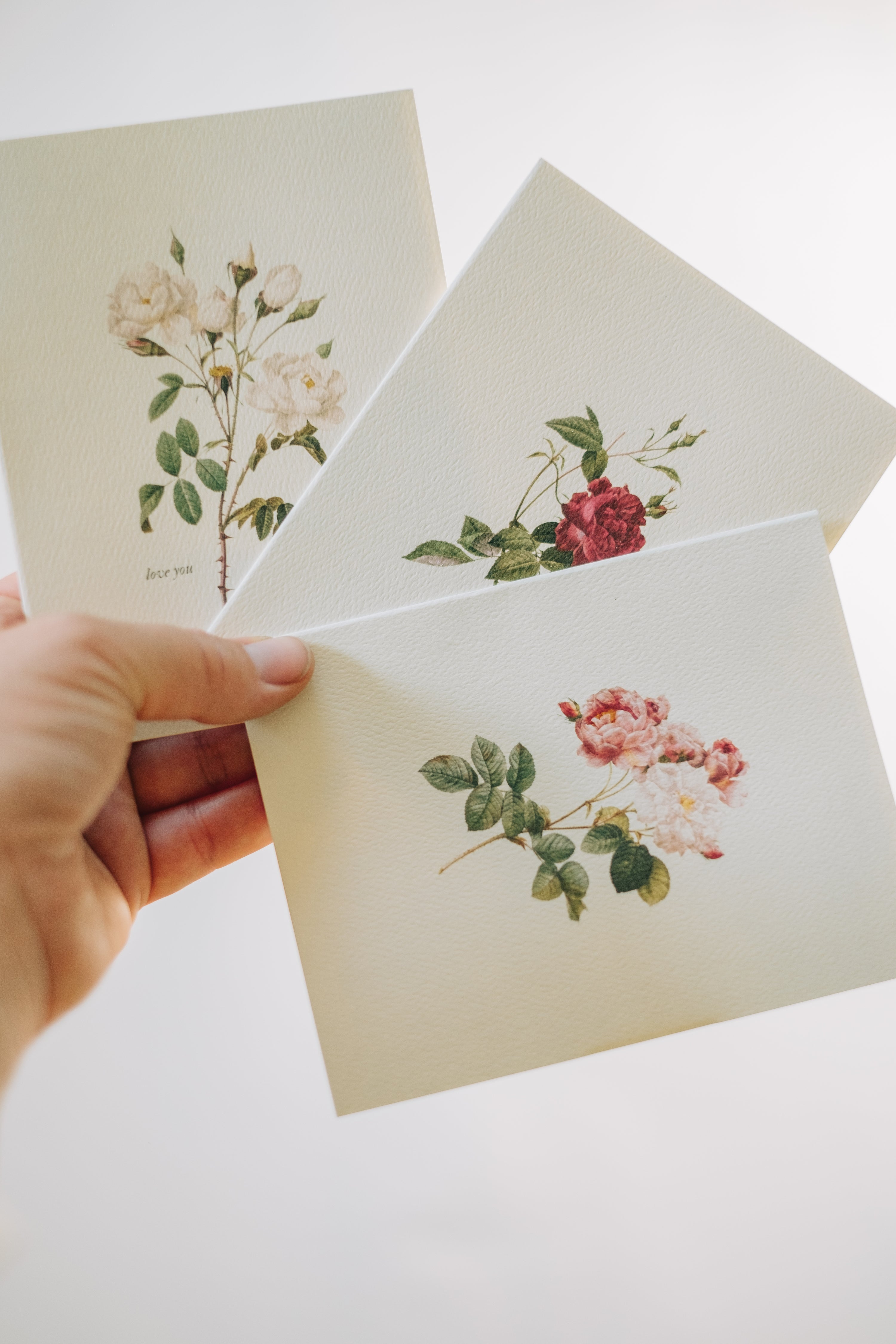 Roses Note Card Set – These Stones